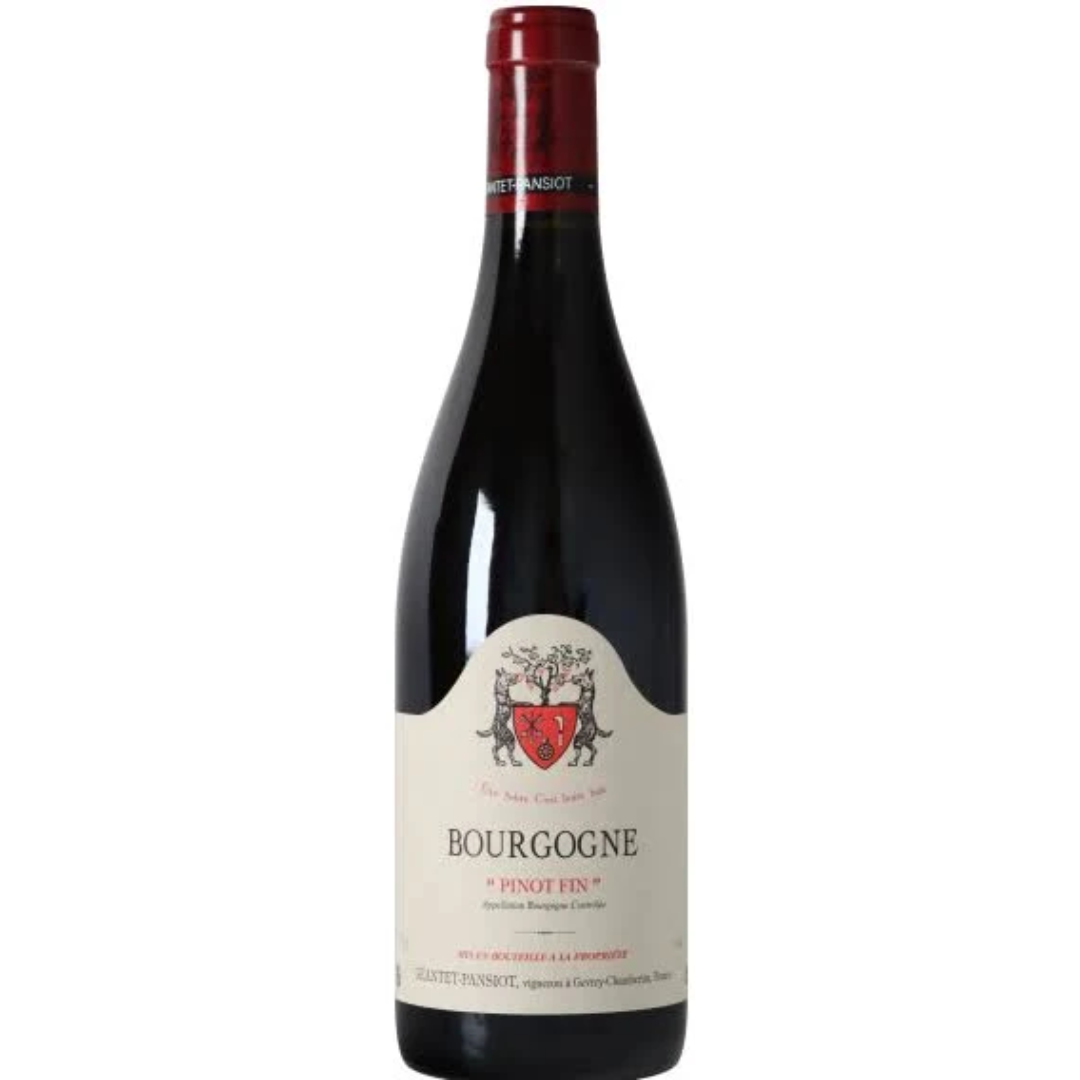Geantet Pansiot Bourgogne Rouge Pinot Fin 2021 750ml – Wine Not HKG