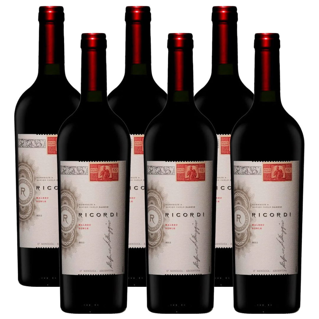 Ricordi - Argentina Malbec 750ml x 6 – Wine Not HKG